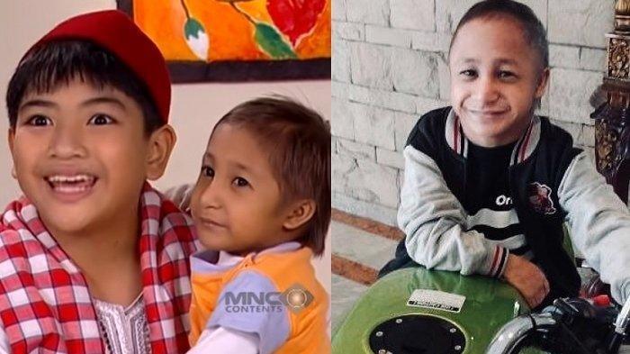 Unggah Foto Harimau Jelang Ajal, Permintaan Terakhir Dicky Topan ...