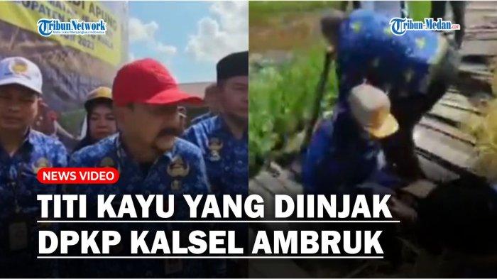 Hadiri Panen Padi Apung, Titi Kayu yang Diinjak Kepala DPKP Kalsel Ambruk Saat Wawancara ...