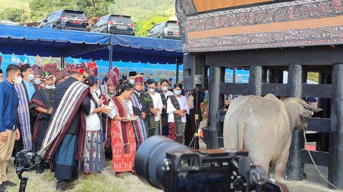 RITUAL 'Hahomion Martua Omaoma Pagabe Taon' Kembali Digelar di Silalahi ...