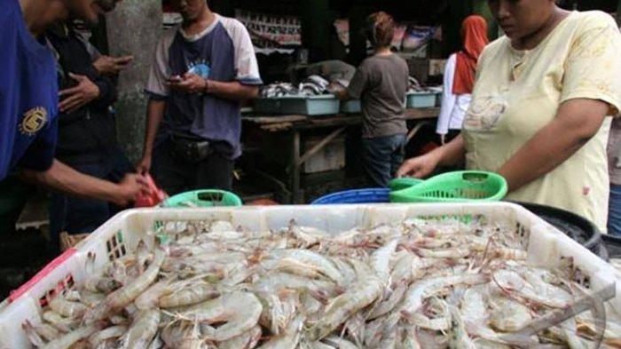 Harga Udang Segar Melonjak di Pasar Kota Medan, Capai Rp 100 Ribuan Per ...