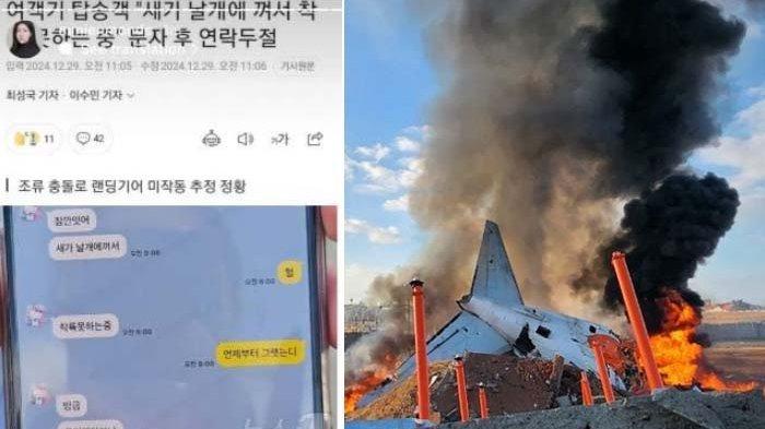 ISI Chat Terakhir Penumpang Jeju Air, Sempat Bahas Surat Wasiat Sebelum ... ISI Chat Terakhir Penumpang Jeju Air, Sempat Bahas Surat Wasiat Sebelum ...