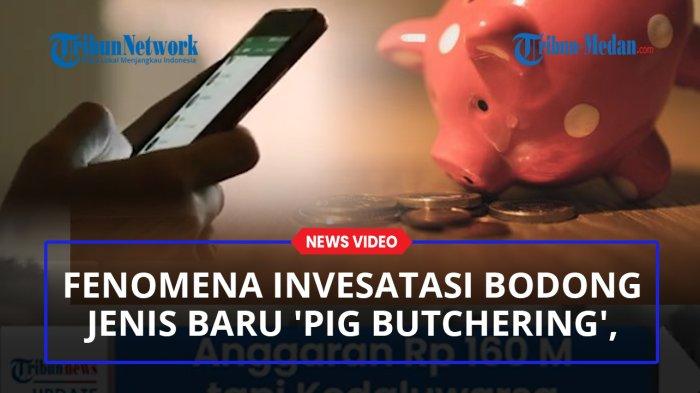 Hati-hati, Invesatasi Bodong Jenis Baru 'Pig Butchering', Ada Korban ...