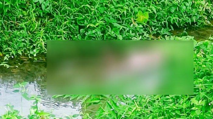 Ramlan Butarbutar Ditemukan Tewas di Aliran Parit, Korban Disebut Biasa ...