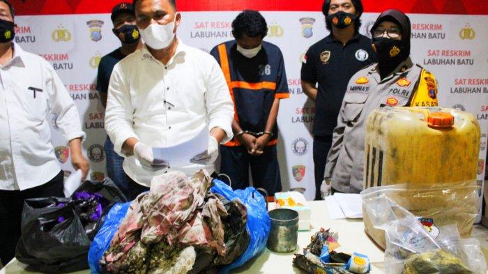 Juliandi Ditangkap Polisi Karena Bakar Pencuri 500 Kg Sawit Miliknya ...