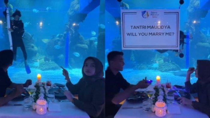 KISAH Tantri Maulidya Dilamar Kekasih di Jakarta Aquarium & Safari, Penyelam Bentangkan Spanduk ...