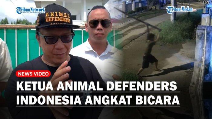 Ketua Animal Defenders Indonesia Angkat Bicara terkait Pria Curi Anjing ...