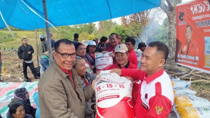 Bibit Jagung dan Pupuk Langka di Samosir, PDIP Lakukan Aksi Turun Ke ...
