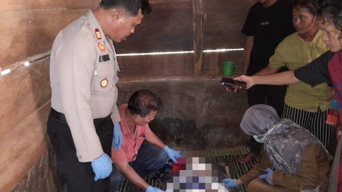 Tertidur di Gubuk Saat Jaga Kebun Durian Siap Panen, Turut Rambe Tewas ...