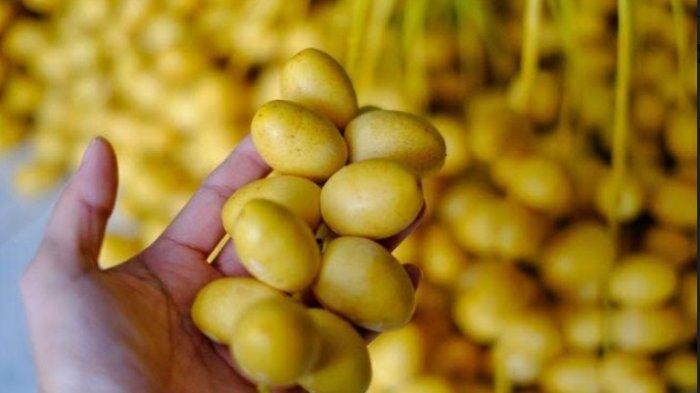 6 Manfaat Kurma Muda untuk Kesehatan, Tingkatkan Kesuburan hingga Cocok ...