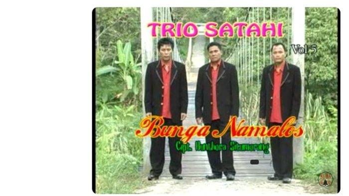 Lirik Lagu Batak Bunga Namalos Dipopulerkan oleh Trio Satahi - Tribun-medan.com