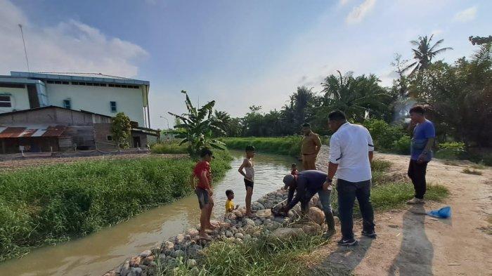 Ikan dan Udang Bermatian, Sungai di Sergai Diduga Tercemar Limbah ... Ikan dan Udang Bermatian, Sungai di Sergai Diduga Tercemar Limbah ...