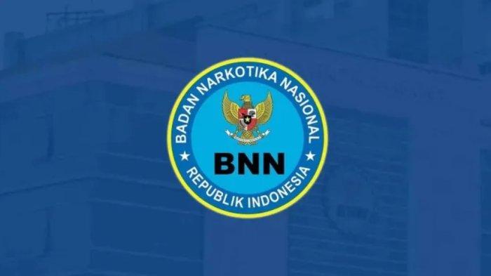 Sejarah Berdirinya BNN, Dibentuk Sejak Zaman Gusdur - Tribun-medan.com