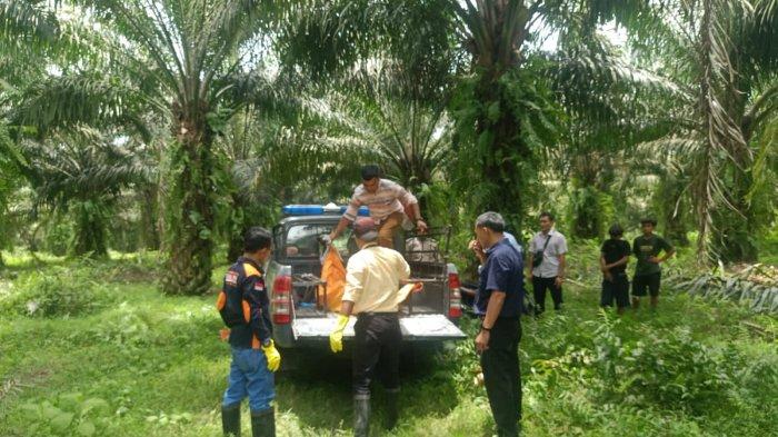 Penemuan Mayat Tanpa Identitas dengan Kondisi Membusuk di Sergai ...