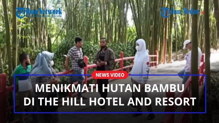 Menikmati Hutan Bambu Nan Sejuk di The Hill Hotel and Resort, Ada Taman ...