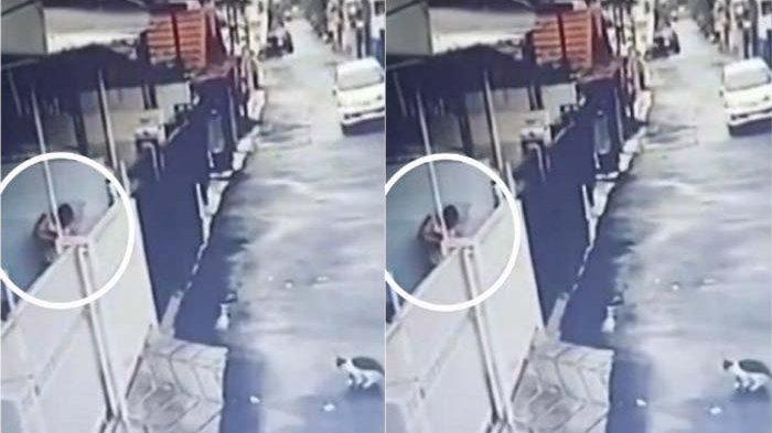 NASIB Pria di Kelapa Gading Terancam Penjara Usai Tembak Mati Kucing ...