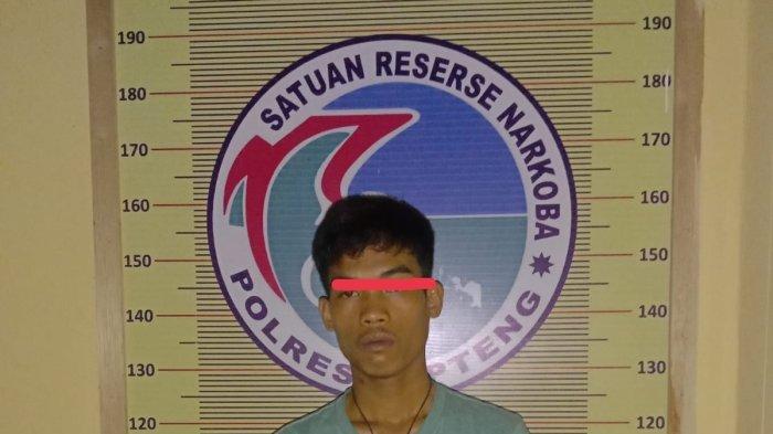Pengedar Ganja Ditangkap Sat Narkoba Polres Tapteng dari Belakang Rumah Saat Transaksi - Tribun ...