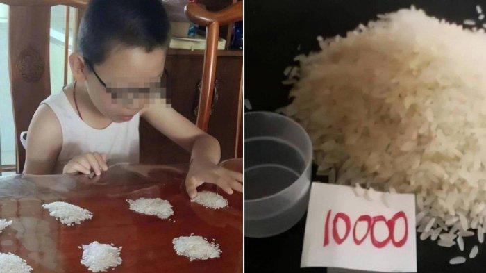Orangtua Sampai Emosi Bantu PR Anak Hitung 10.000 Butir Beras,Ternyata ...
