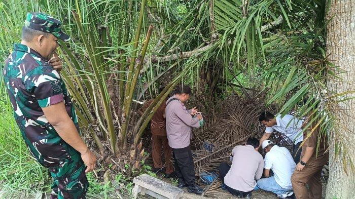 Sarang Narkoba di Langkat Digerebek dan Dibakar Polisi, Ada 3 Orang Ditangkap - Tribun-medan.com