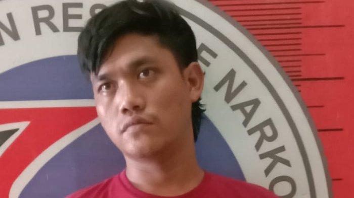 Kelabui Polisi Taruh Ganja Dalam Helem, RID Digagalkan Sat Narkoba Polres Palas Melarikan Diri ...