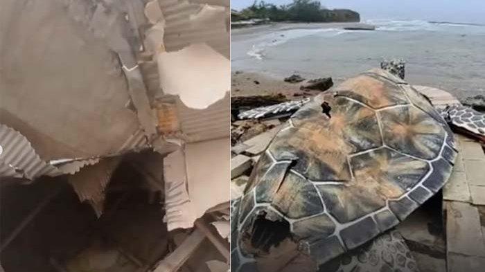 Patung Penyu Diduga Senilai Rp15 Miliar di Sukabumi Jebol, Ternyata Terbuat dari Kardus - Tribun ...