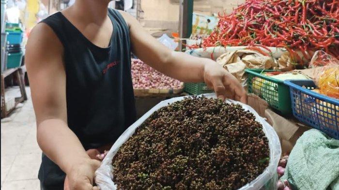 Harga Andaliman Melonjak Capai Rp 200 Ribu per Kilogram jelang Natal dan Tahun Baru - Tribun ...