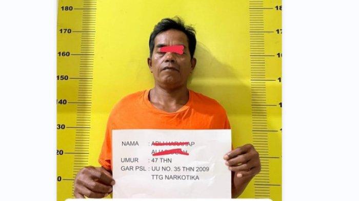 6 Pengedar Narkoba di Labusel Ditangkap dalam Sepekan - Tribun-medan.com