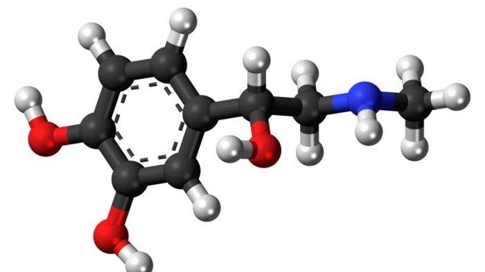 Alkuna : Pengertian, Sifat dan Manfaatnya, Materi Belajar Kimia Kelas ...