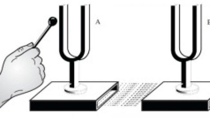 Resonansi Bunyi Resonansi Bunyi: Pengertian Dan Contohnya