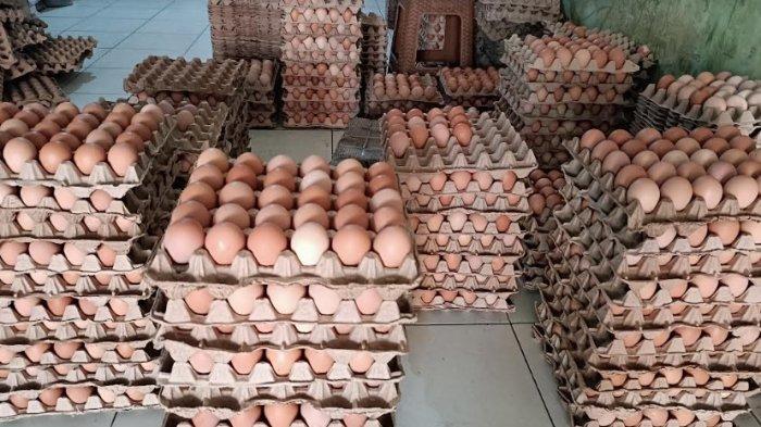 Harga Telur di Medan Melambung, Kini Tembus Rp 60 ribu per Papan - Tribun-medan.com