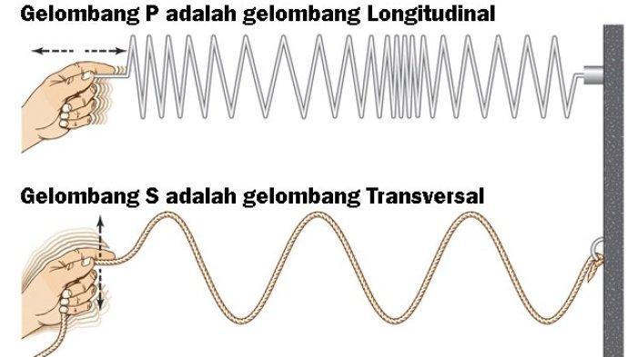 Perbedaan Gelombang Transversal dan Gelombang Longitudinal, Materi ...