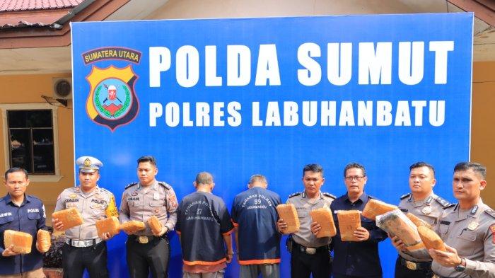 Diangkut Pakai Bus Polres Labuhanbatu Gagalkan Peredaran Ganja 12 Kg