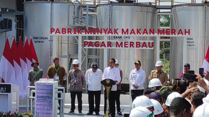 Jokowi Klaim Minyak Goreng Merah Produksi Deli Serdang Lebih Murah dari yang Lain - Tribun-medan.com
