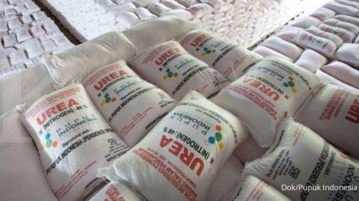 Pupuk Indonesia Siap Dukung Ketahanan Pangan Nasional - Tribun-medan.com