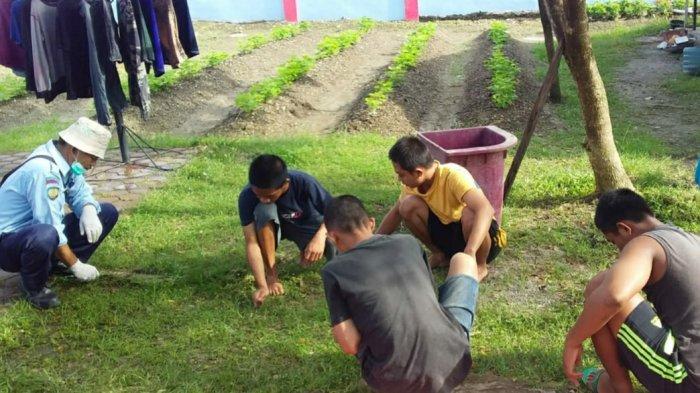 Petugas LPKA Kelas I Medan Ajak Anak Binaan Belajar pada Rumput Liar ...