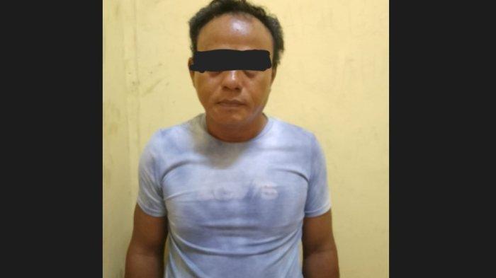 Bulus, Si Pencuri di SMP Muhammadiyah 17 Sergai Diciduk Polisi di ...