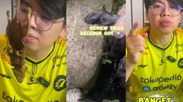SOSOK Tiktoker Danceuobob Review Makan Tikus Got Goreng, Pernah Bikin ...