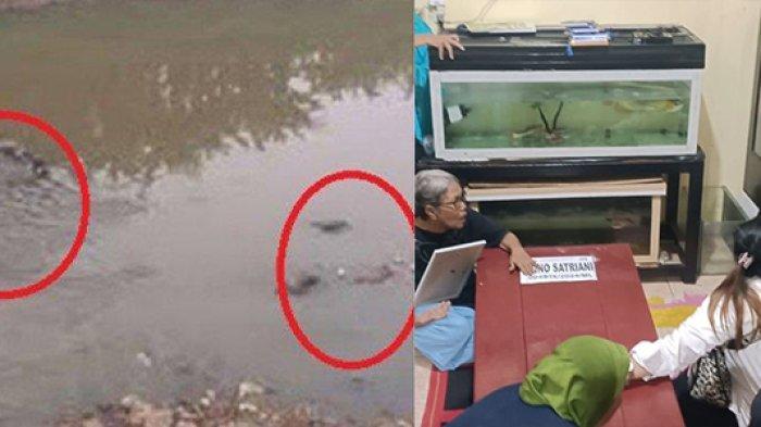 SOSOK Vino Satriani Satu Jasad dari 7 Rewaja Tewas Mengambang di Bekasi Jelang Ulang Tahun Ke-15 ...