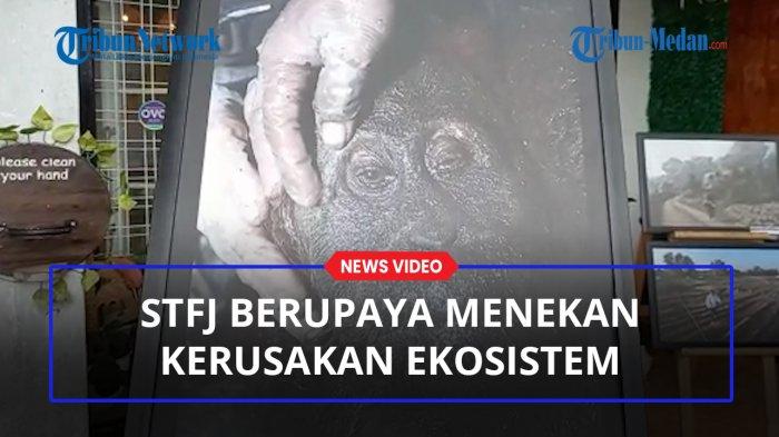 Kejahatan dan Perdagangan Satwa Liar di Sumut, STFJ Berupaya Menekan ...