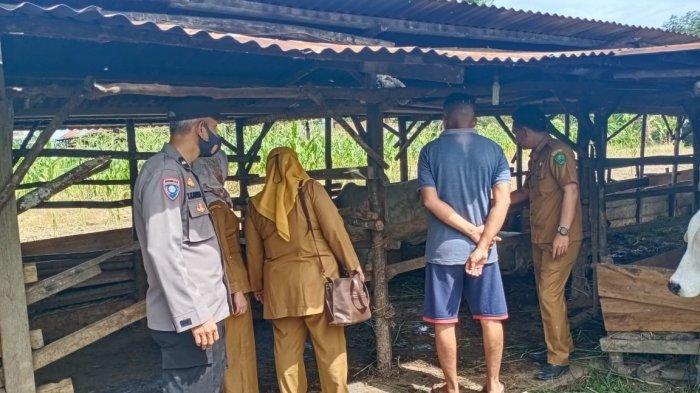 Binmas Polres Padangsidimpuan Sosialisasi Tentang Wabah PMK - Tribun-medan.com