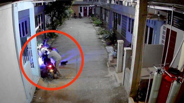 Sepeda Motor Penghuni Kos Dilarikan Maling, Kedua Pelaku Terekam CCTV saat Beraksi - Halaman 2 ...