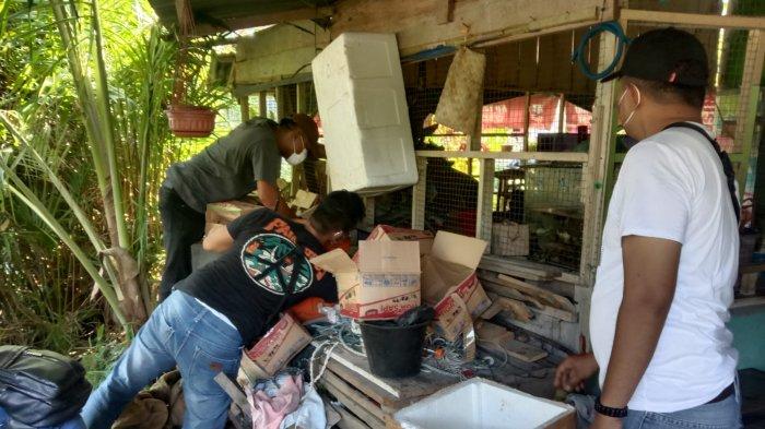 Gerebek Kampung Narkoba di Gang Nibung Pandan, Polres Tapteng Temukan Ganja - Tribun-medan.com