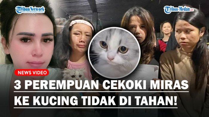 RATU ENTOK Marah Besar 3 Perempuan Cekoki Miras ke Kucing Cuma Divonis ...