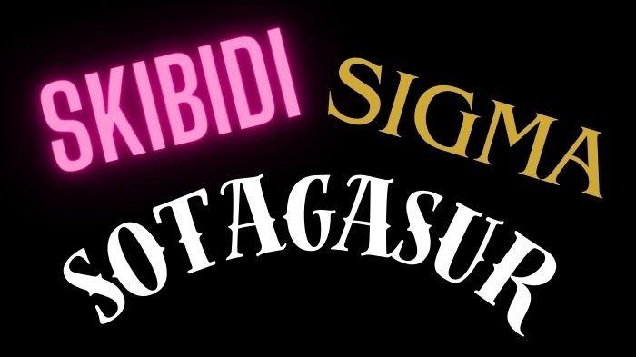 Ragam Bahasa Gaul di TikTok, Mulai dari Skibidi, Sigma Hingga Sotagasur ...