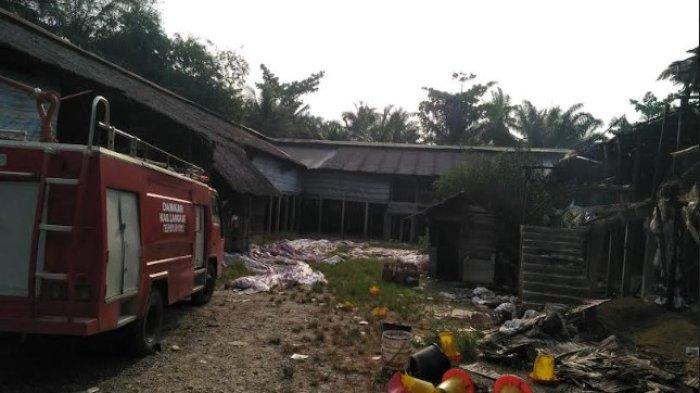 Kandang Peternakan Ayam Potong di Langkat Diduga Dibakar Pekerja, Pemilik Rugi Ratusan Juta ...