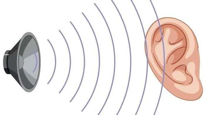 Syarat Terjadinya Bunyi dalam Fisika, Materi Belajar Fisika Kelas 8 ...