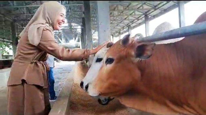 Manfaat Luar Biasa Berkurban Idul Adha, Berikut Keistimewaannya di ...