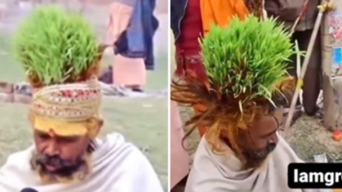 VIRAL, Pria Ini Tanam Rumput di Kepala, Rambut Jadi Pupuk, Kulit Kepala ...