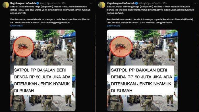 VIRAL Satpol PP Bakal Denda Rp50 Juta Jika Temukan Jentik Nyamuk di ...