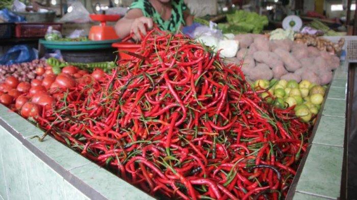 Harga Cabai Merah Naik Tajam Rp 60 Ribu Per Kilogram, Begini Kata Pengamat Ekonomi - Tribun ...