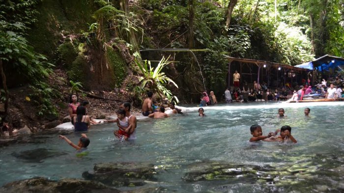 Sensasi Seru Berenang bersama Ikan-ikan Cantik di Aek Manik nan Bening ...